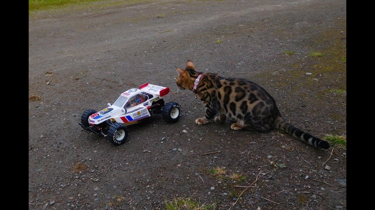 Vintage Playtron Lynx 4WD RC buggy - YouTube