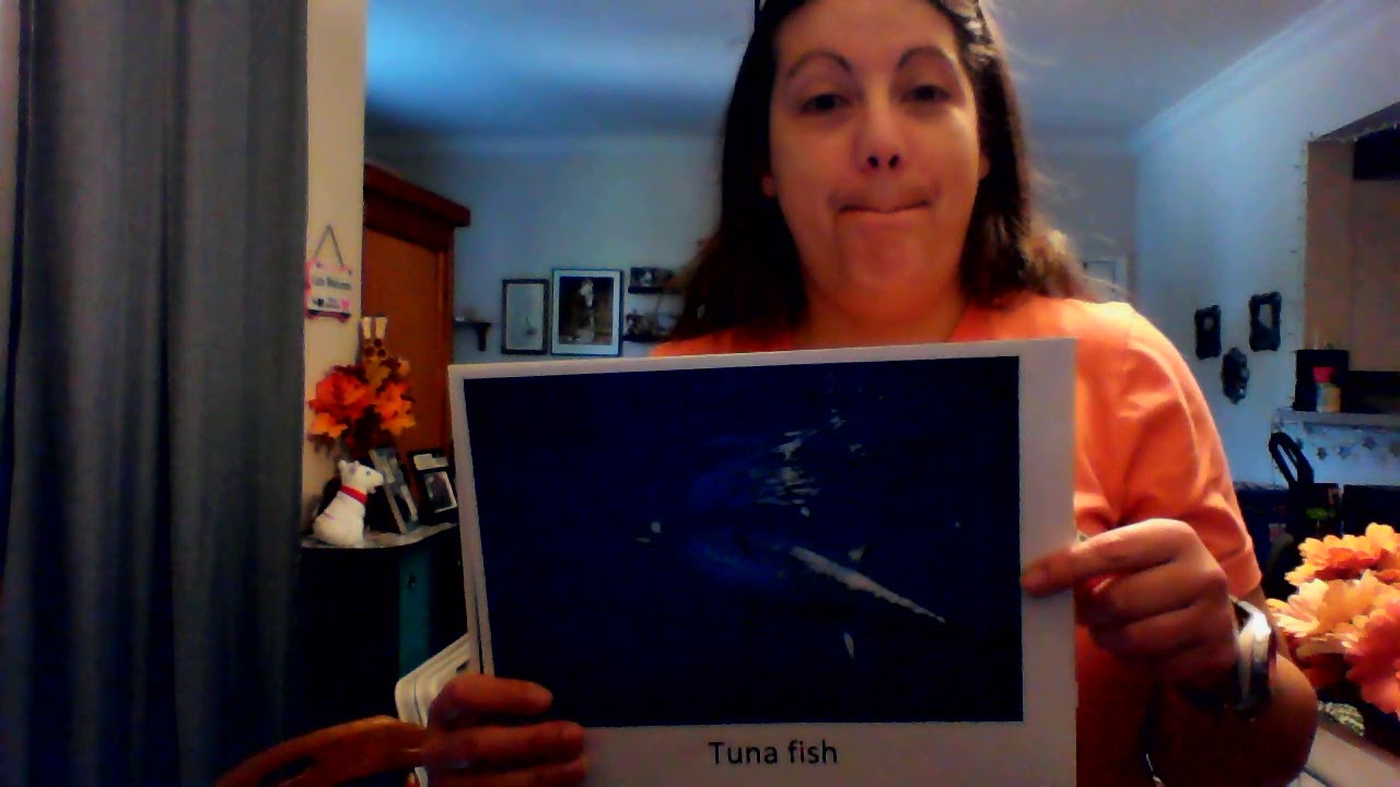 Slippery Fish - YouTube