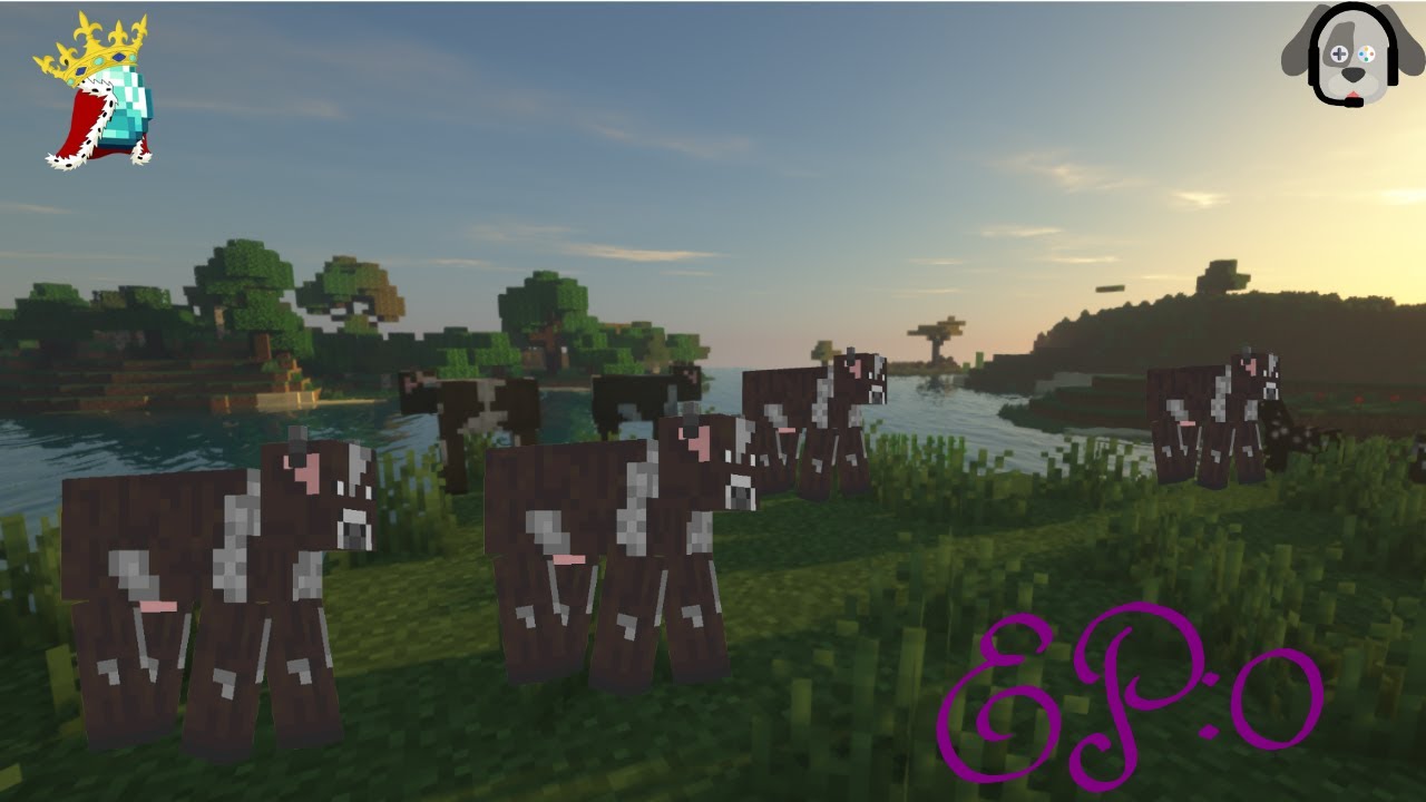 Royal Diamond SMP Season: 1 Ep: 0 ~ So many Cows! - YouTube