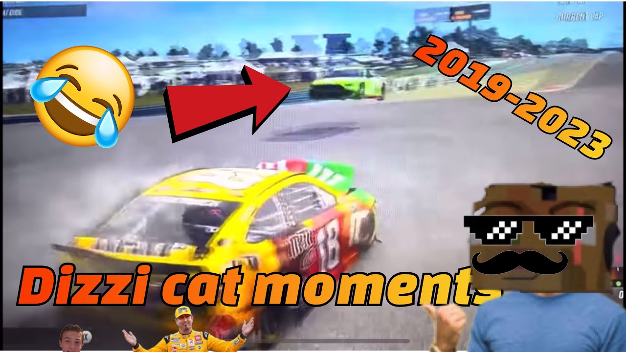 Best Dizzi Cat moments (2019-present) - YouTube