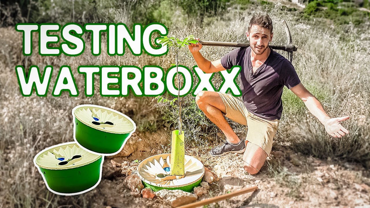 🌱HOW to PLANT with Groasis WATERBOXX🌲 Step by step (and how to lose ...