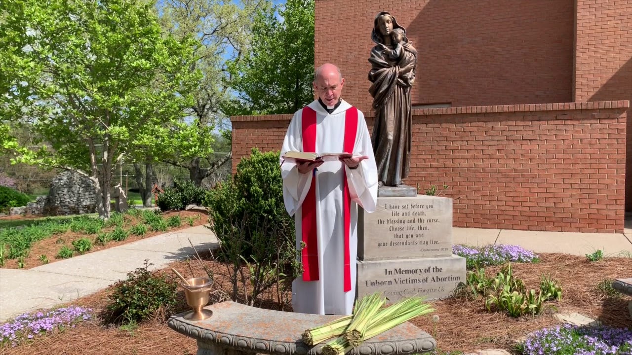 St. Henry Connection with Father Mark Beckman - Blessing of the Palms ...