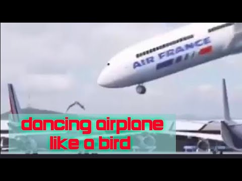 Airplane dancing like a bird. Aeroplan dancing like a bird. Flight ...