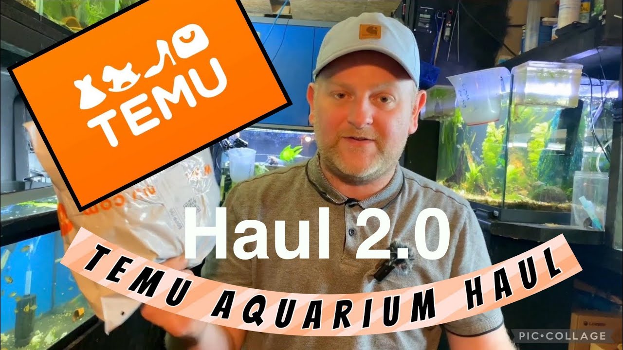 Temu aquarium product haul and update on my sick fish and what I’m ...