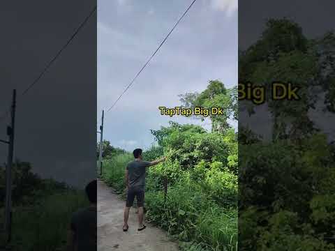 The North Lights Big Dk/TapTap Big Dk/TapTap Big ||| Solid The North Lights Big Dk Lakas😀😀💪 ...
