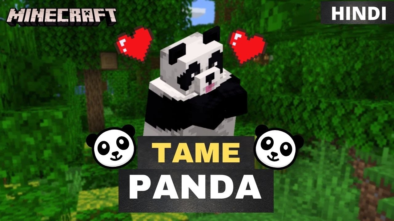 How To Tame PANDA In Minecraft In Hindi | Panda Tame Minecraft - YouTube