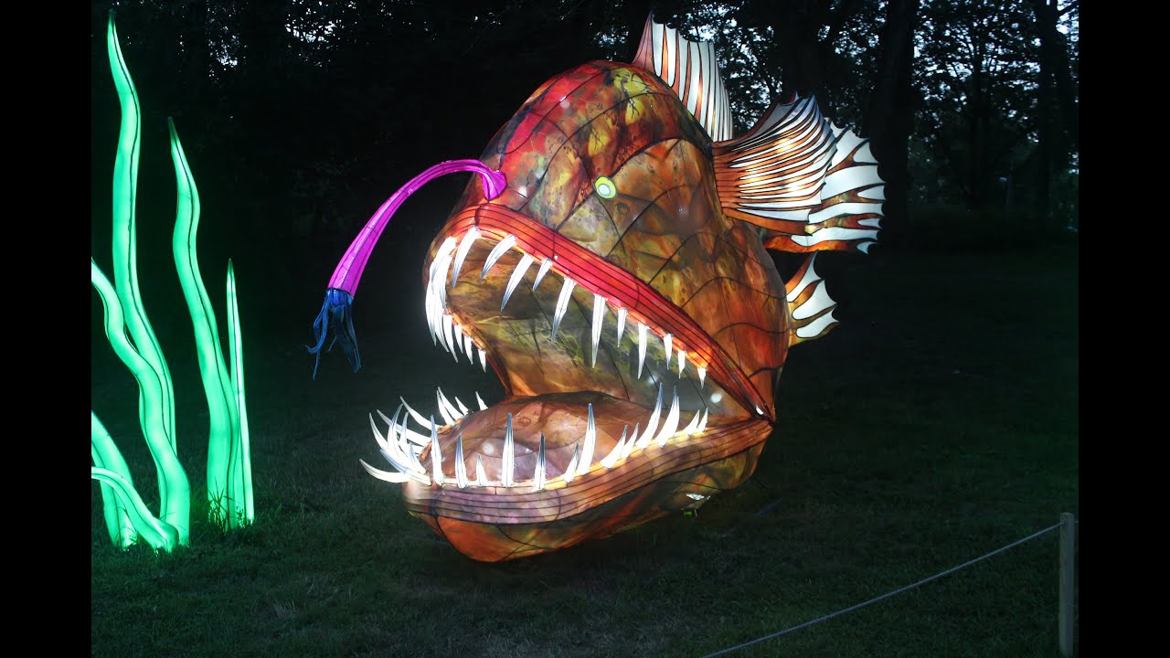 BOSTON LIGHTS A LANTERN EXPERIENCE - YouTube