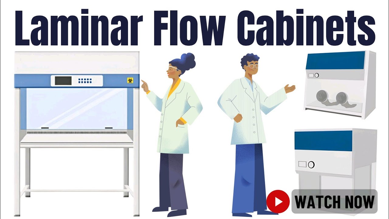Laminar Flow Hoods: How They Work, Components, Types, and Safety | A ...