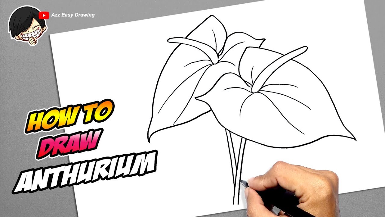 How to draw Anthurium Flower - YouTube