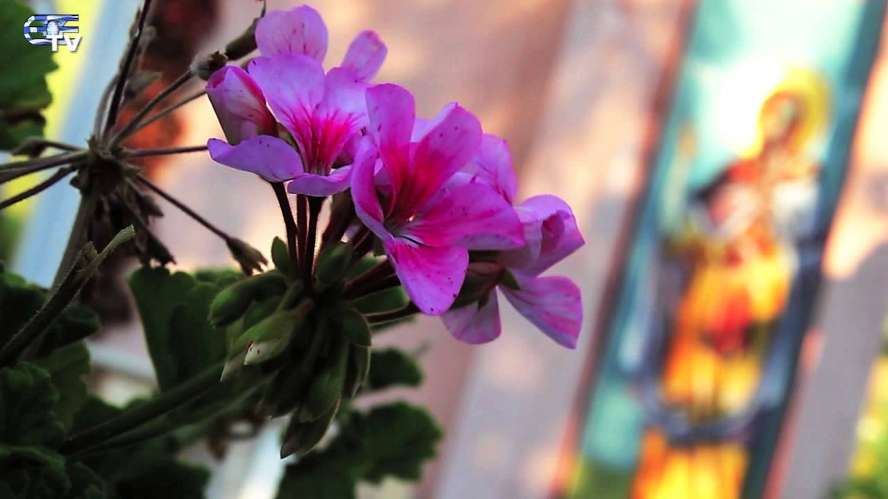 ΣΤΑ ΒΗΜΑΤΑ ΤΟΥ ΑΠΟΣΤΟΛΟΥ ΠΑΥΛΟΥ... (TRAILER) - YouTube