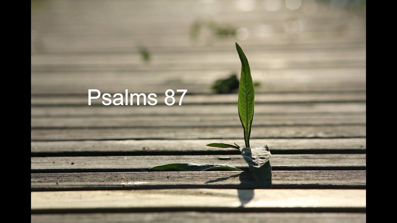 Psalms 87 YouTube Psalms 87 YouTube