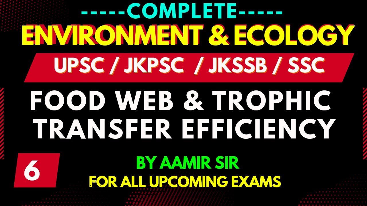 Environment for UPSC/ JKPSC KAS/ JKSSB Forest Inspector /Lab Attendant: Food web & trophic ...