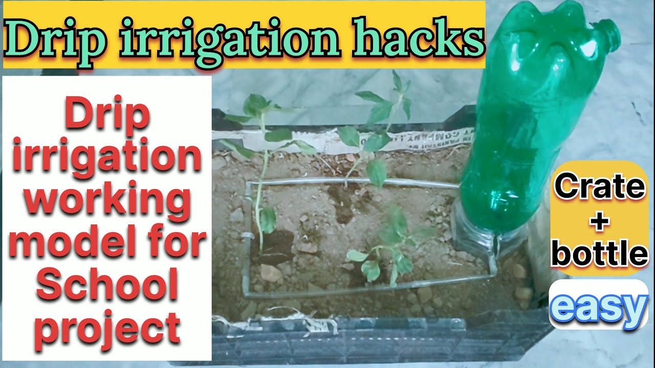 How to make drip irrigation model for school project|Drip irrigation ...