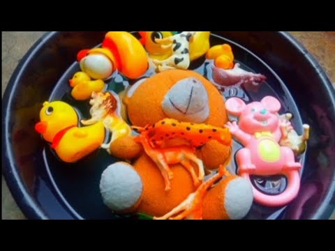 plastic animals toy in water l plastic animals with ducks#animals lion ...