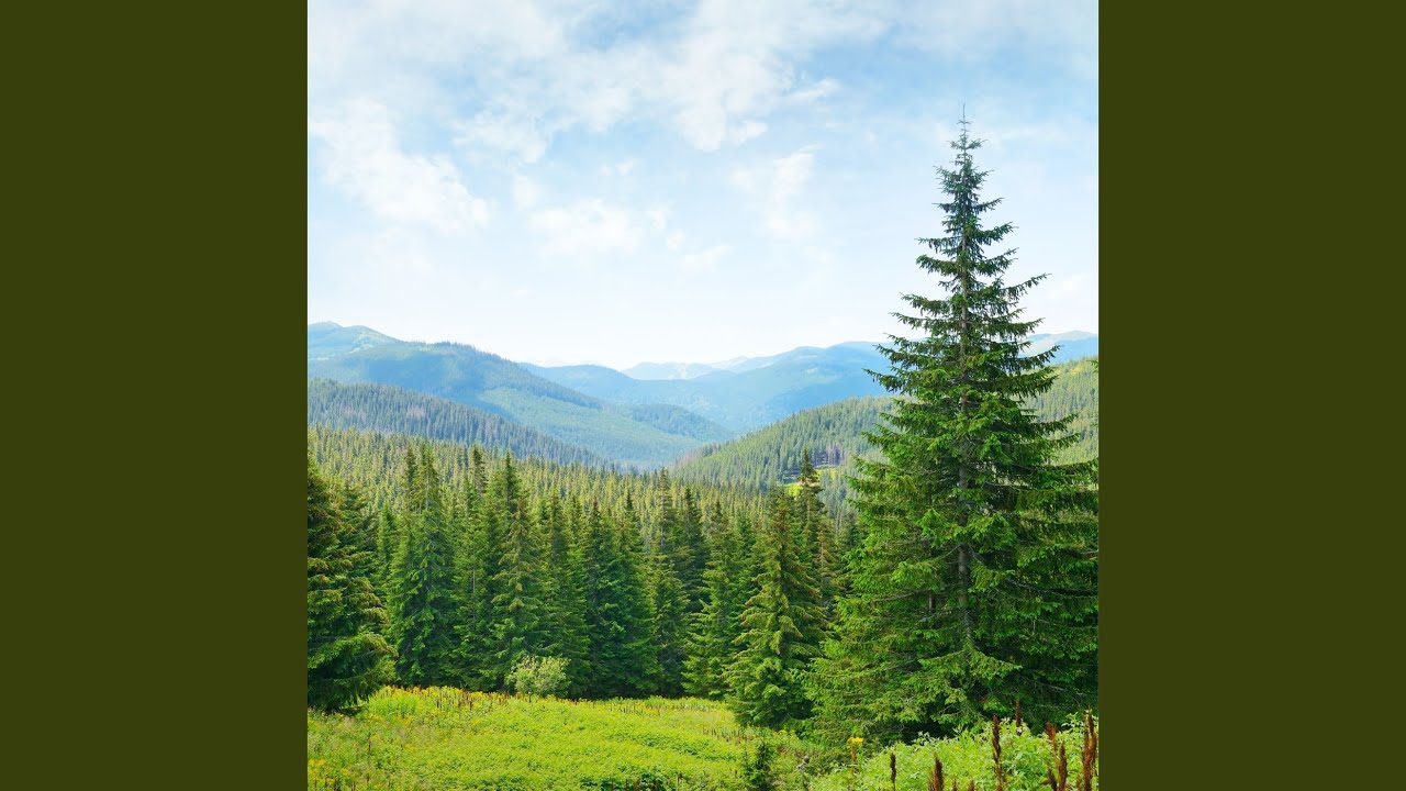 Pines Noon Nature Overture - YouTube Music