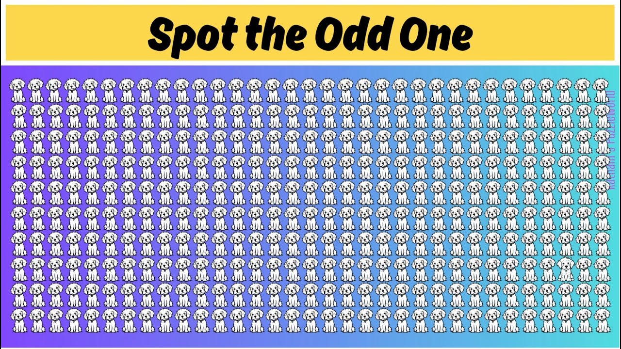 Spot the Odd One Out | Hard and Challenging Puzzle Compilation - YouTube