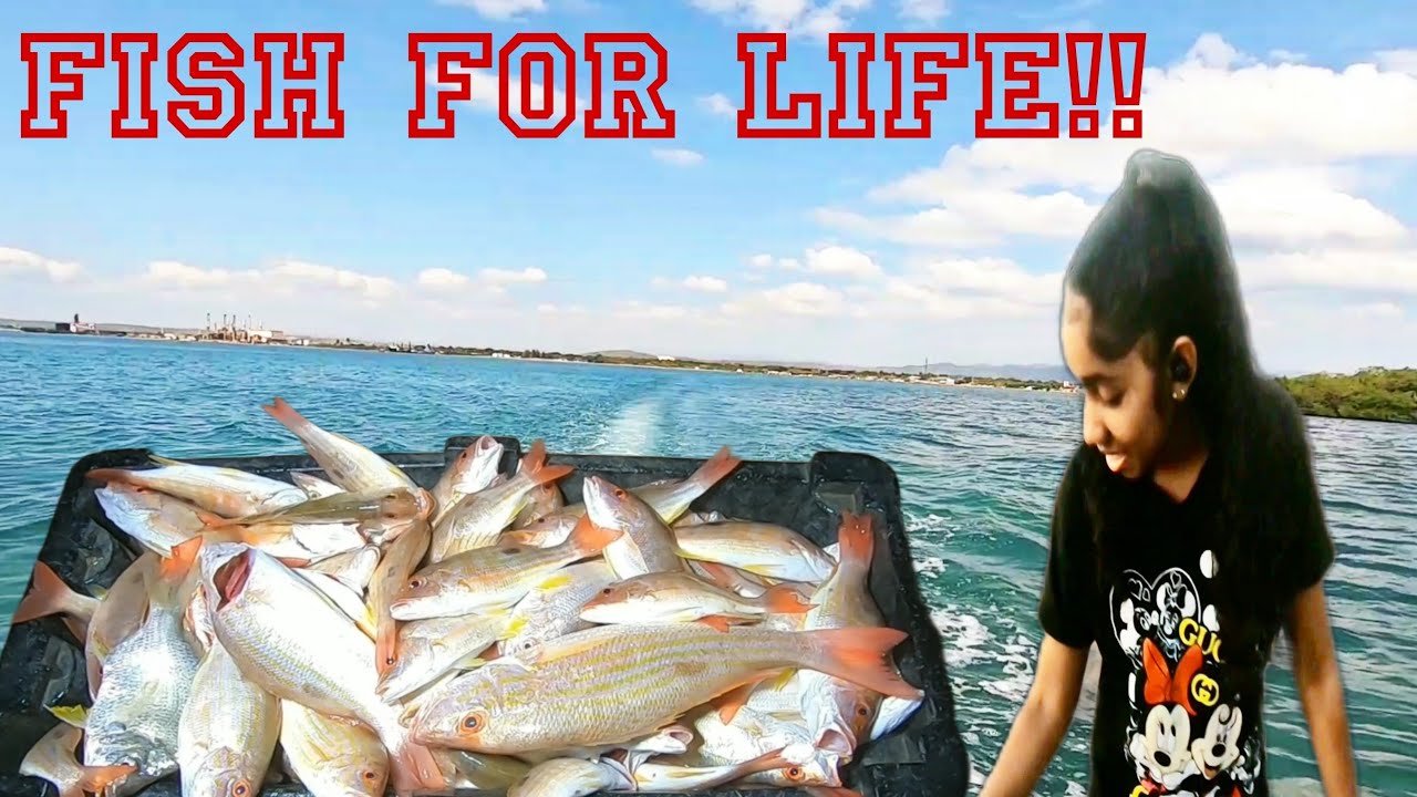 Fish for life!! (The Hunt Continues) - YouTube