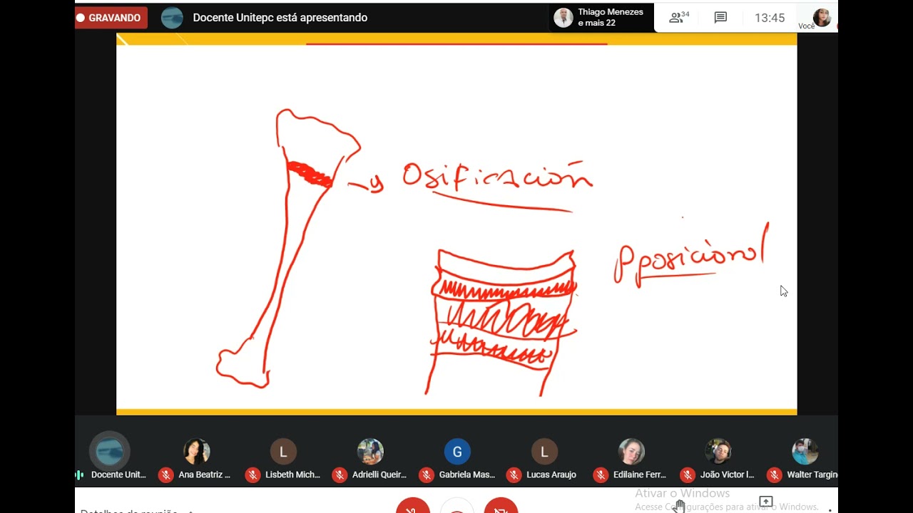 Histo1 - Condrogenesis y crecimiento del cartilago 2021/03/23 - YouTube