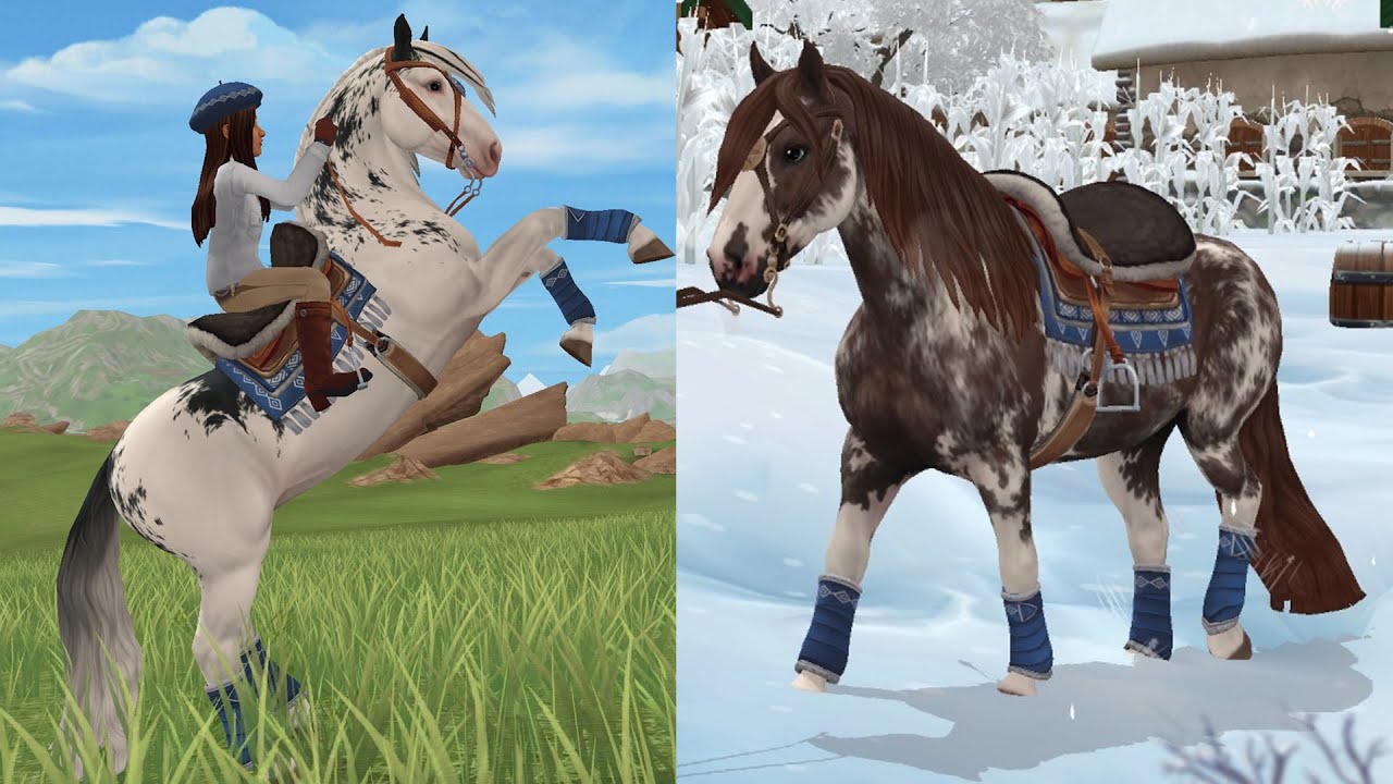 New Horses Coming Soon ..... The Criollo Horse - YouTube