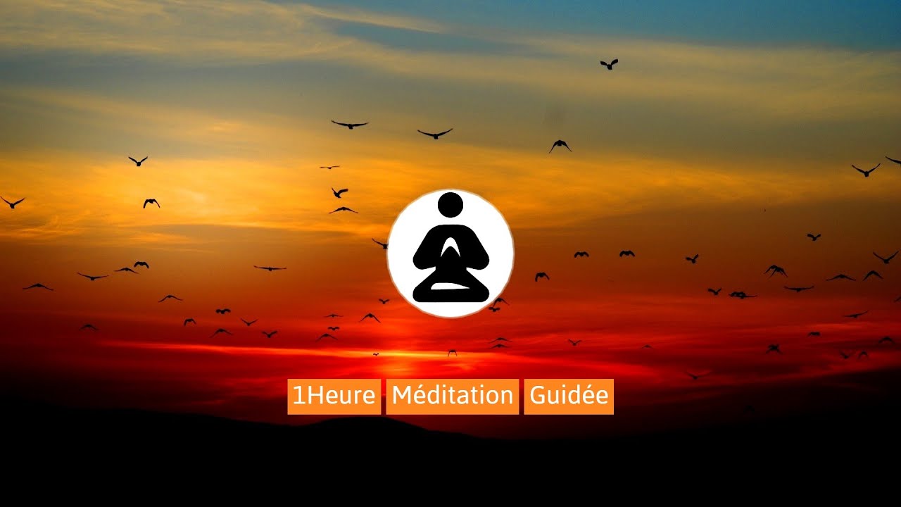 Deep Relaxation: 1Hour Guided Meditation (No Background Sounds) - YouTube