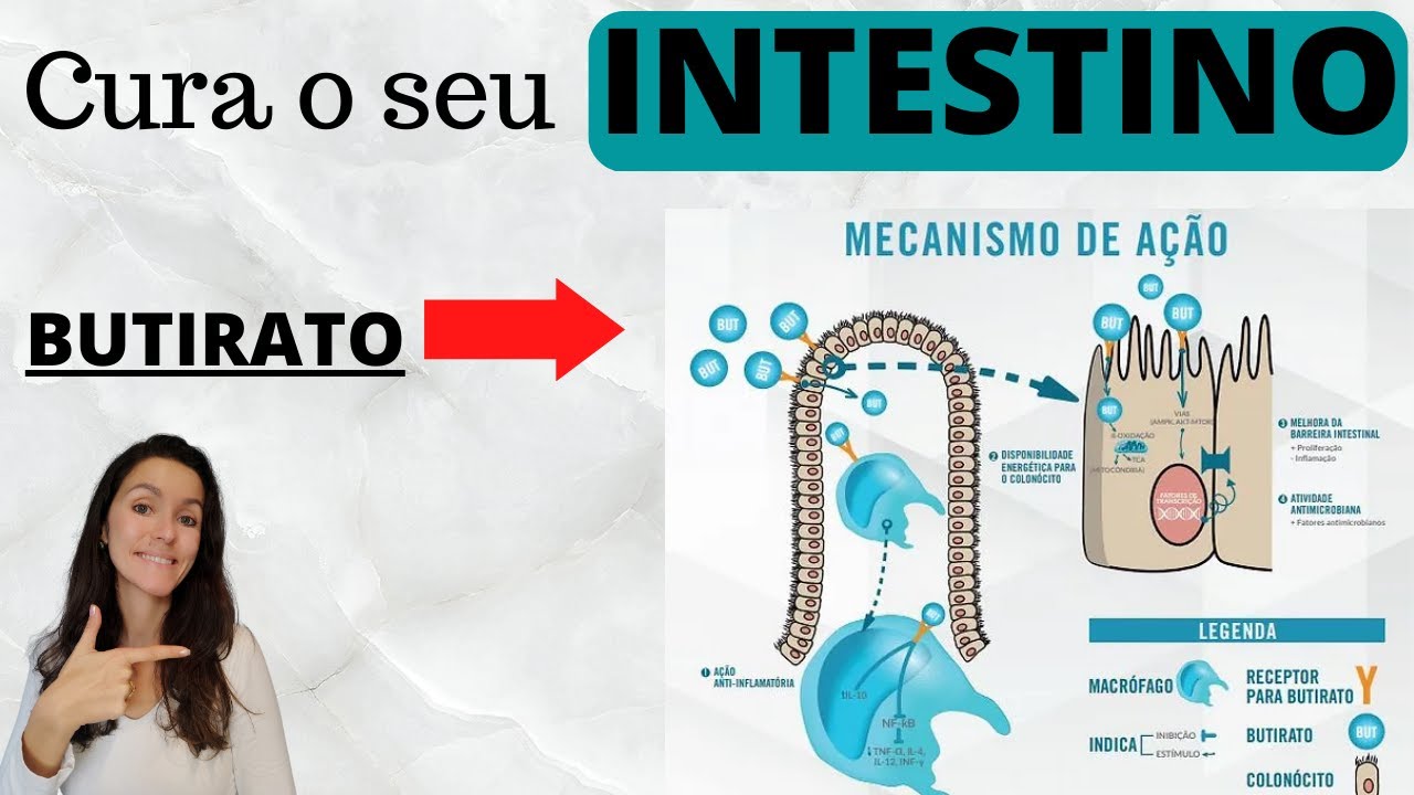 Butirato - Indispensável para a saúde intestinal. - YouTube