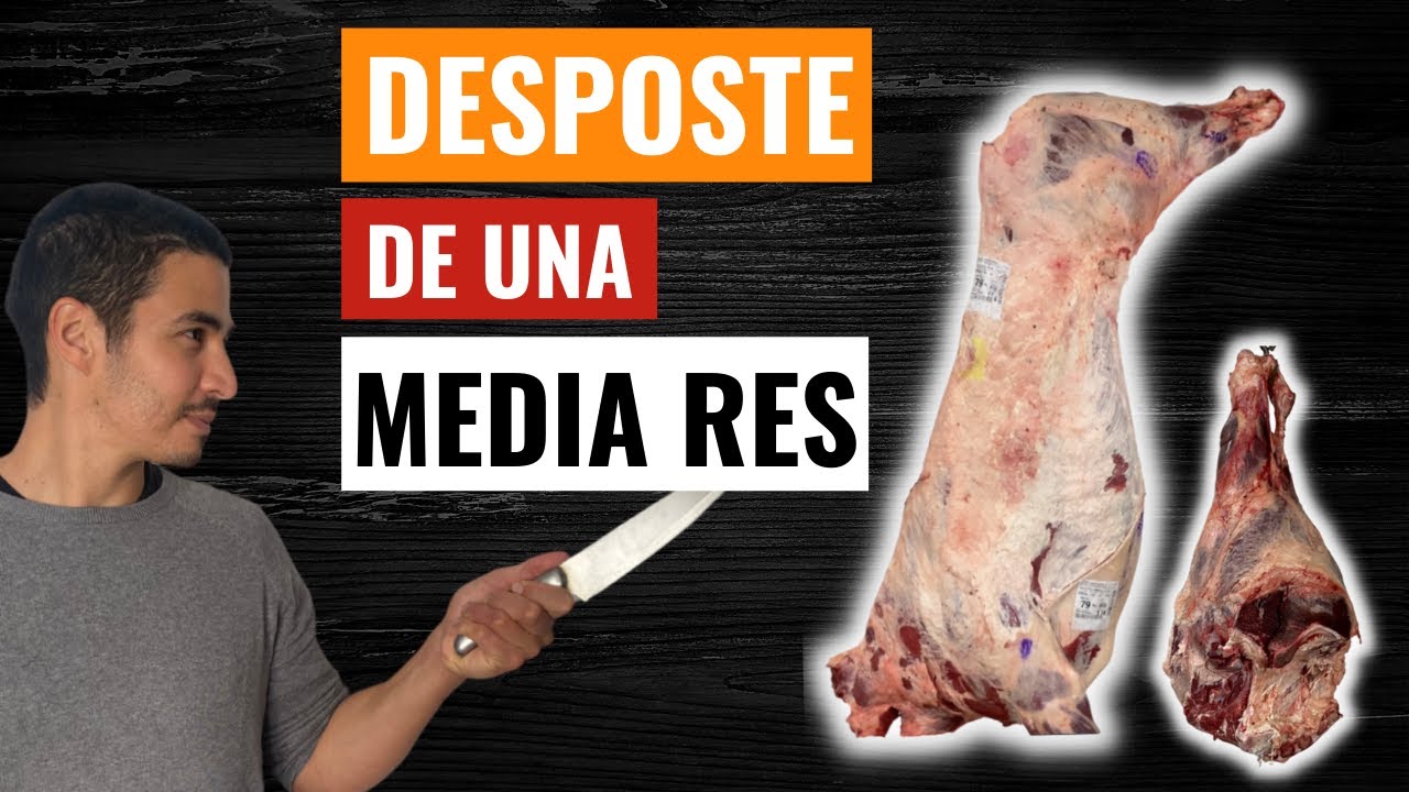 DESPOSTE de MEDIA RES Paso a paso | Carnicería - YouTube