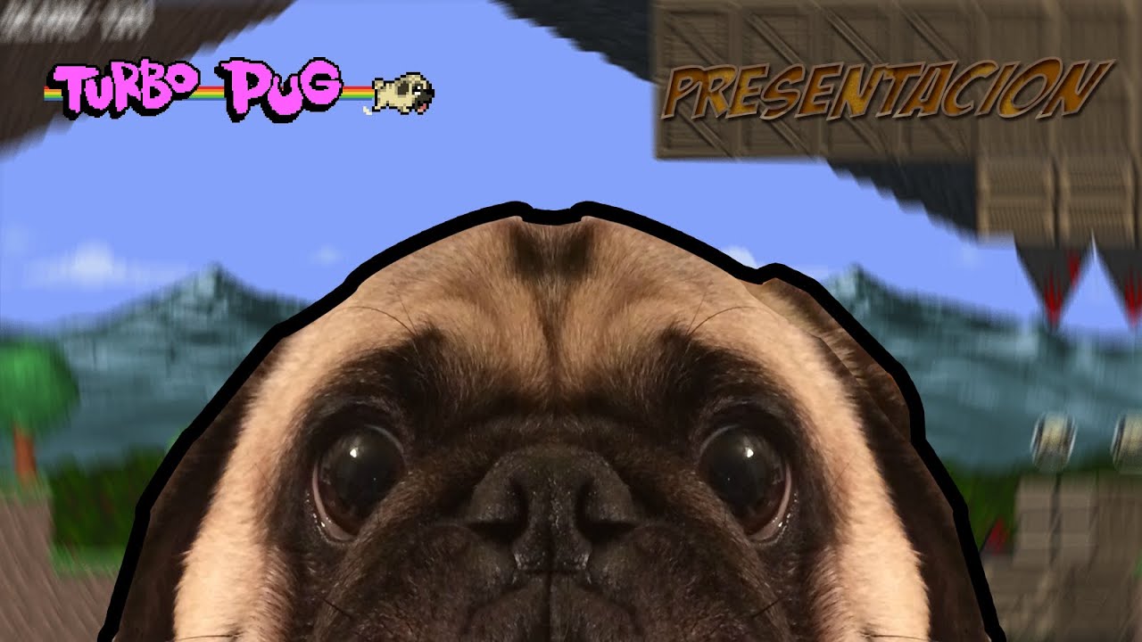 Presentando el canal-Turbo Pug - YouTube