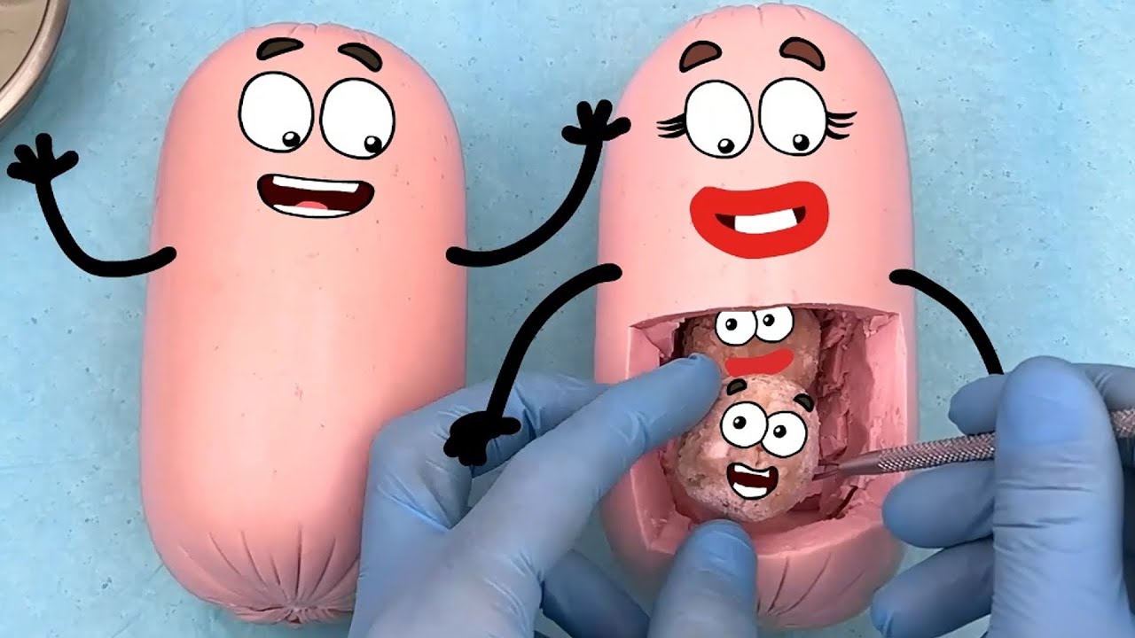 Get Ready to Burst into Laughter with these Epic Food Doodles! - YouTube