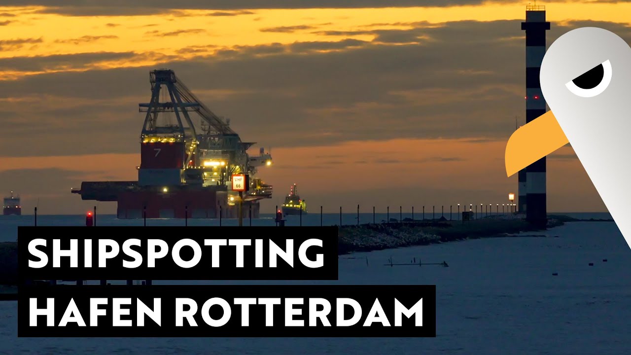 Shipspotting in Rotterdam Maasvlakte 🛳️ bis zum Sonnenuntergang - YouTube