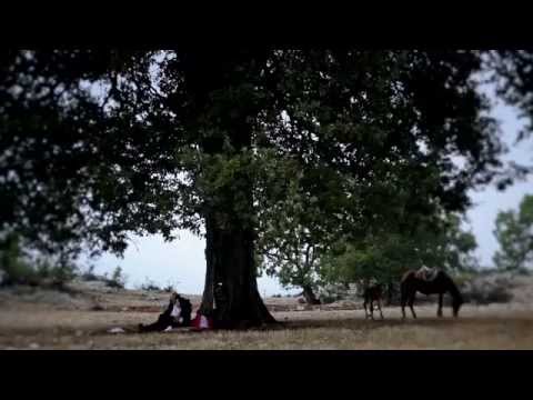 Dinle Oğul - Erdal ALTINTAŞ