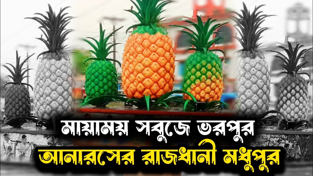 প্রাণের শহর মধুপুর টাঙ্গাইল || Tangail Madhupur City Street View ...