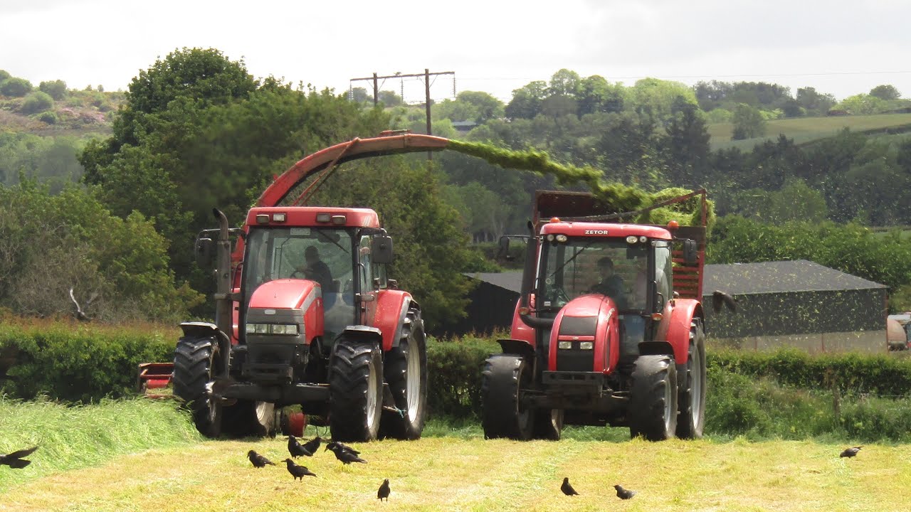 OLD SCHOOL SILAGE 2020-Hamilton farms - YouTube
