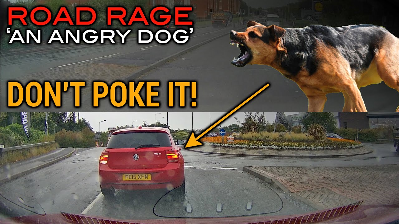 Road Rage | An Angry Dog - YouTube