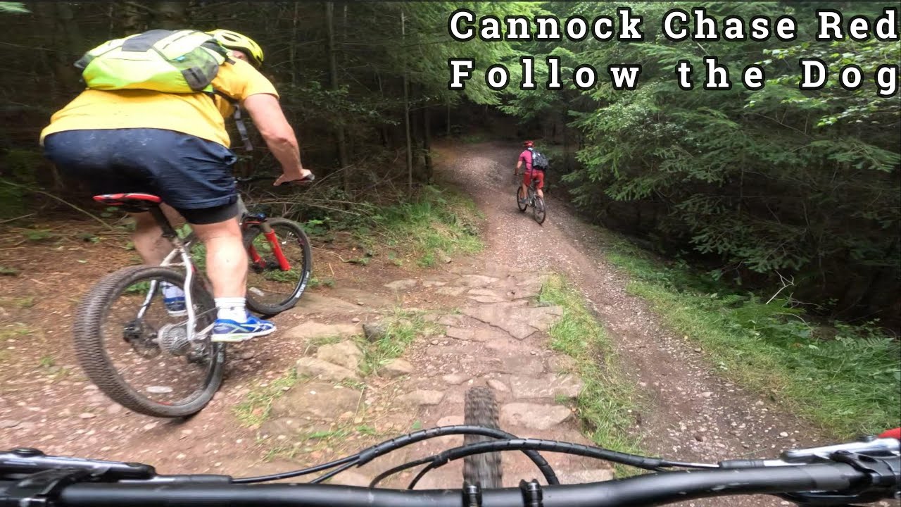 Cannock Chase Red Route Bashing (First Clipped In Video) - YouTube