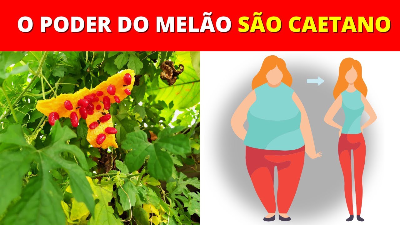 Melão São Caetano: Descubra o poder desse milagroso alimento - YouTube