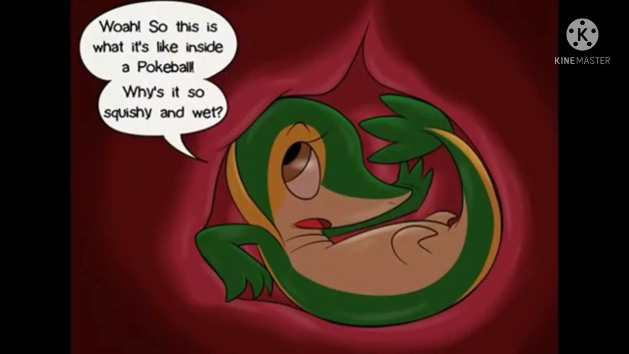 Pokemon Vore Youtube