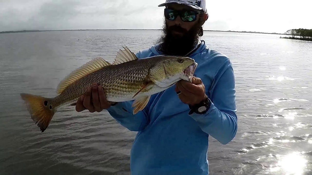 ozello fishing after hurricane micheal - YouTube