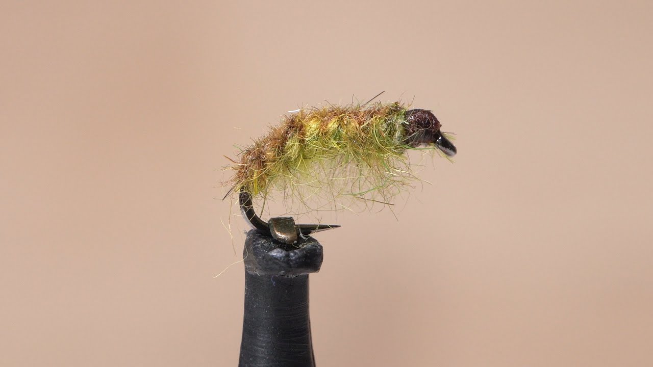 Calico Caddis - YouTube