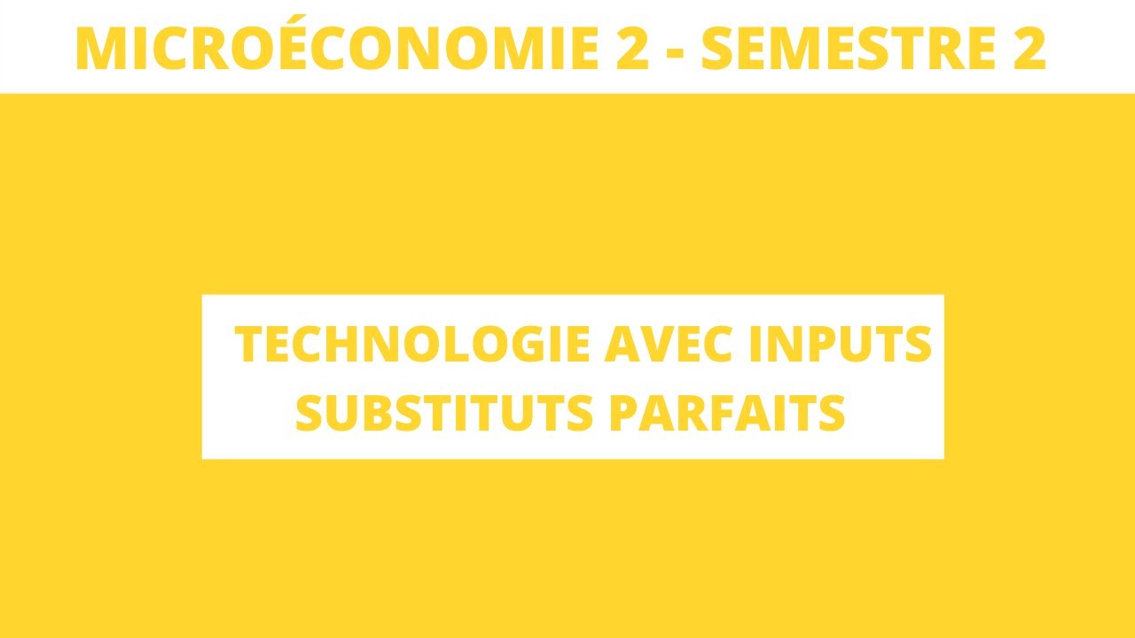 Technologie avec inputs substituts parfaits - microéconomie S2 - YouTube