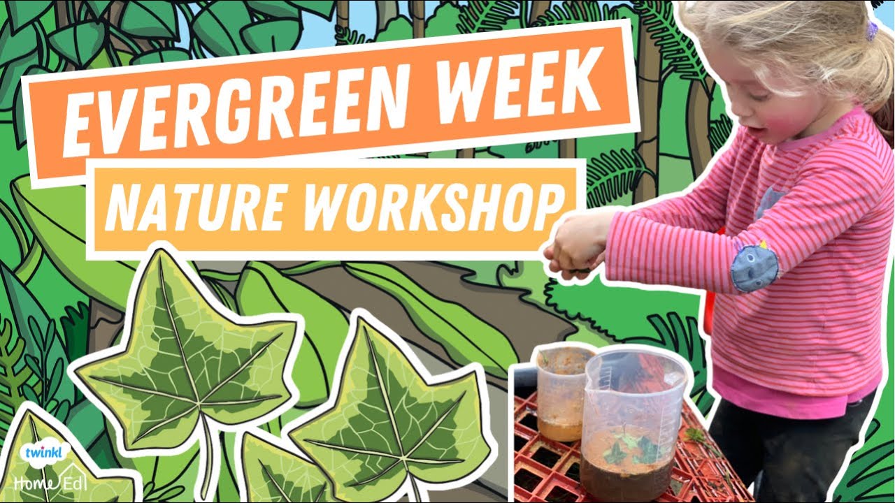 Evergreen Week: Home Education Nature Workshop - YouTube