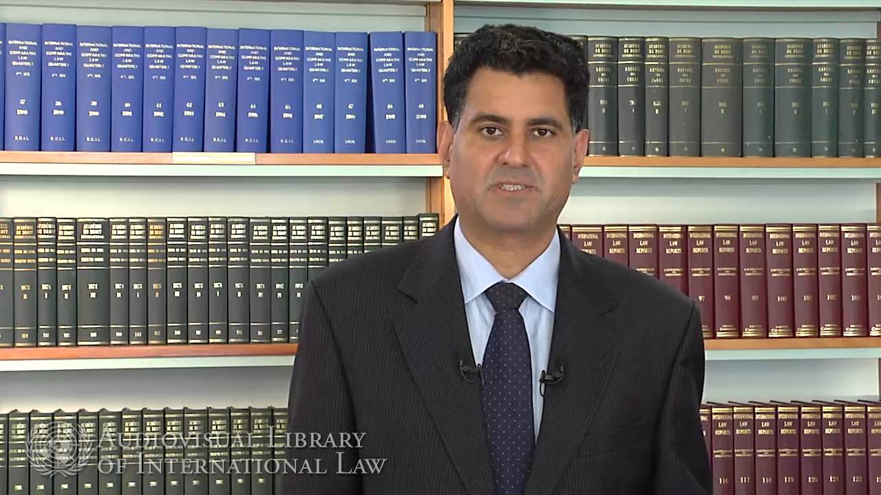 Dan Sarooshi - International Organizations and State Sovereignty - YouTube