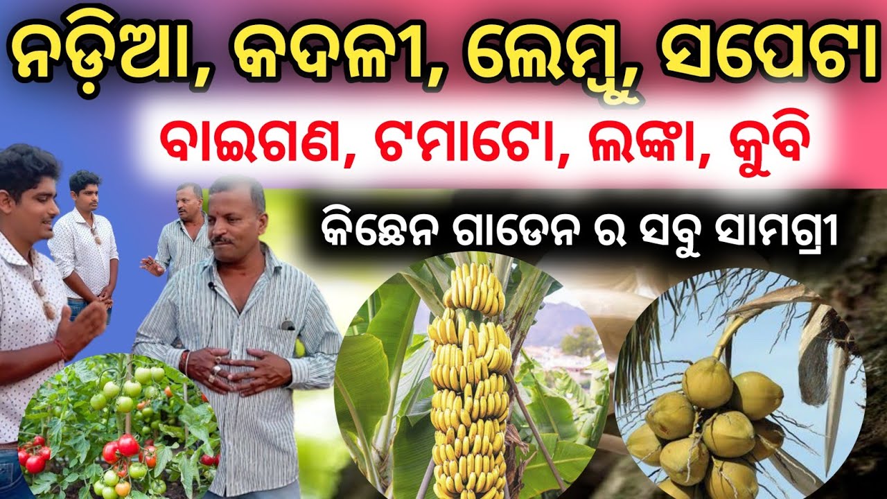 odisha kitchen girden || farming odisha || farming in odisha || odisha ...