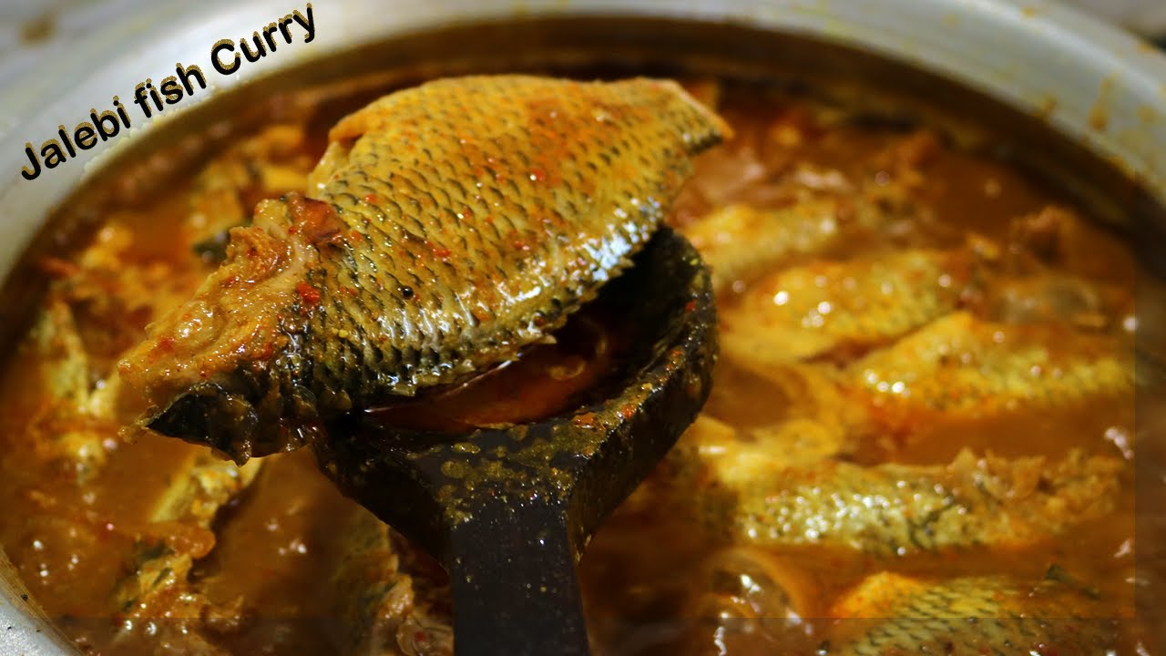 Jalebi fish curry !! Tilapia fish curry - YouTube