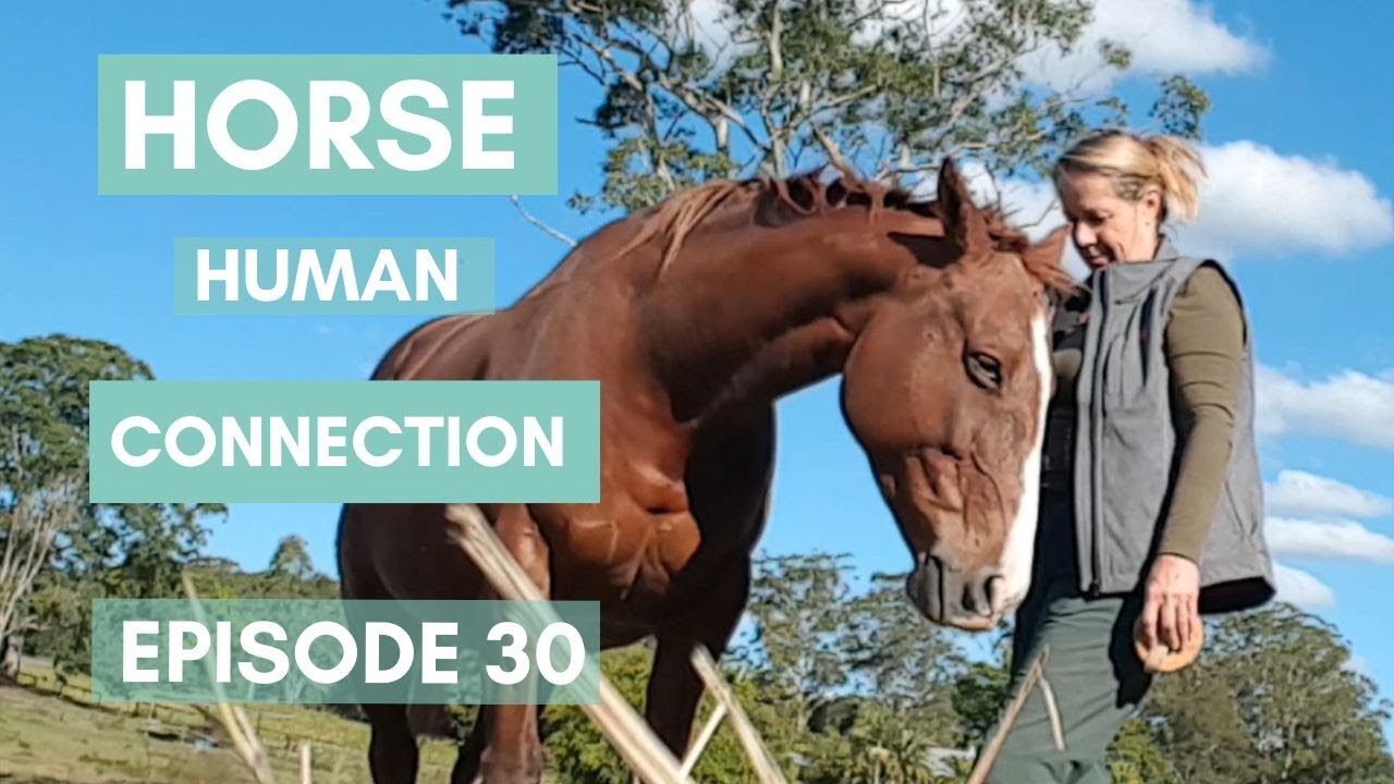 Horse Human Connection Ep30 - YouTube