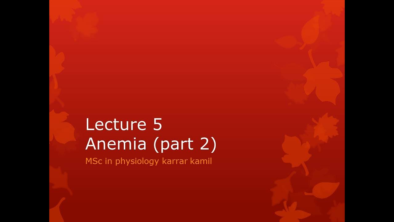 Lecture 5 / Anemia ( parts 2) - YouTube