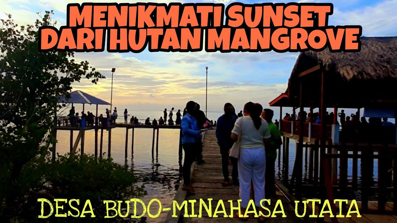VIRAL || TEMPAT WISATA HUTAN MANGROVE DESA BUDO-MINUT-SULUT - YouTube