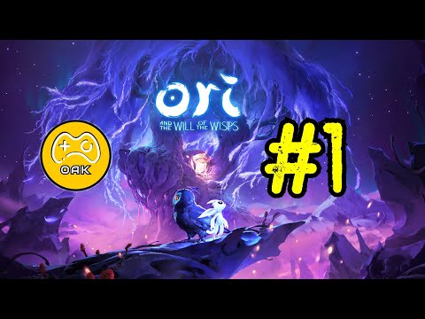 ORI AND THE WILL OF THE WISP - TÜRKÇE - 1. BÖLÜM [1080P 60FPS]