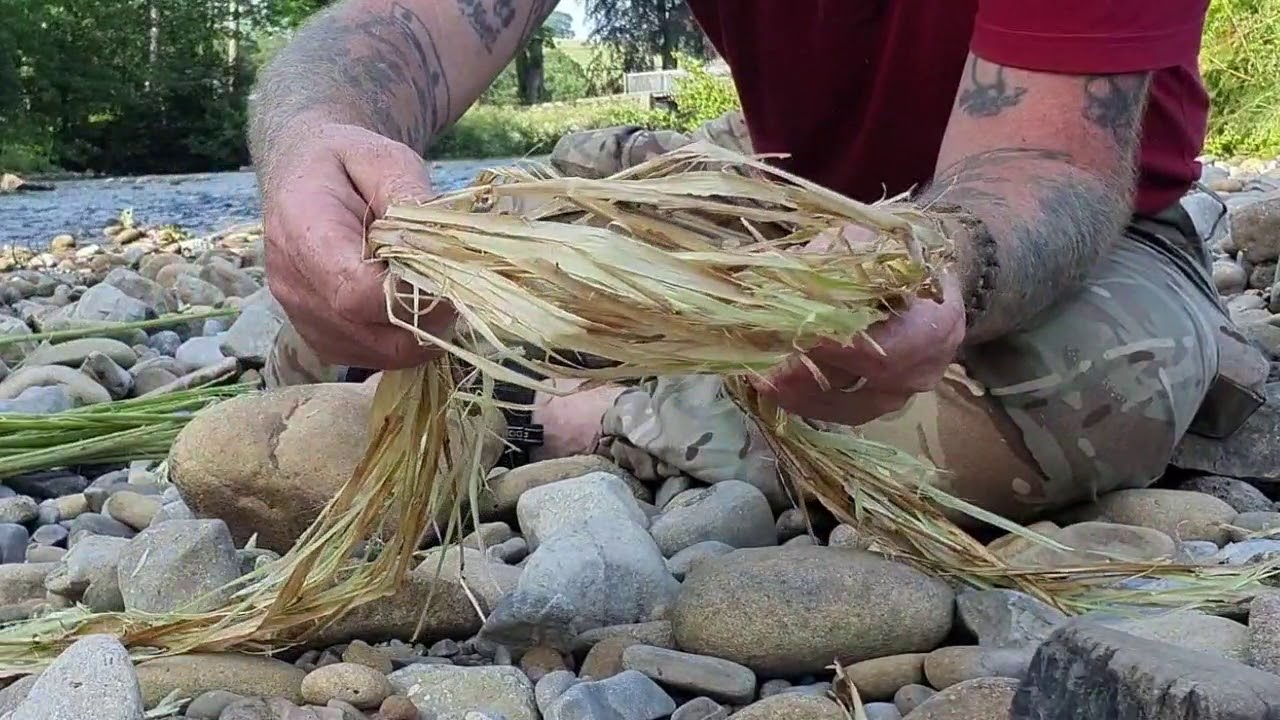 Natural cordage from great willow herb - YouTube