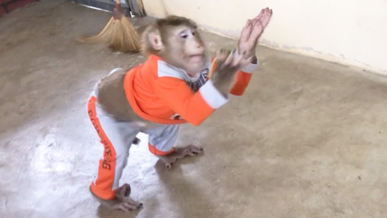 Jason Clap Hand Cheerful When Mom Tell Take Plate To Eat Black Beans Instead Cooking - YouTube