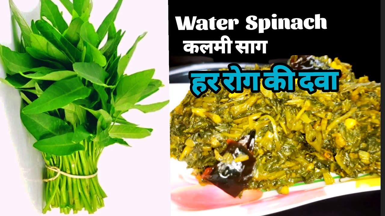 Kalmi Saag Healthy Nari Saag|vitamin mineral se bhare|हर रोग की दवा ...
